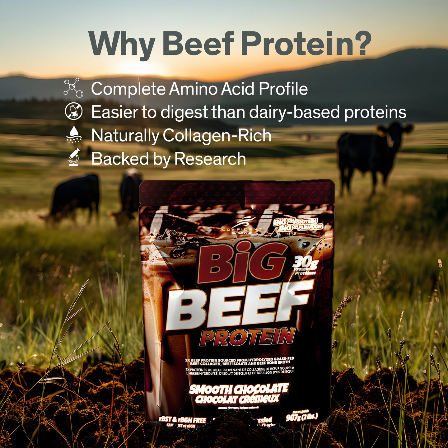 Confident Sports | Big Beef Protein – Confident Health